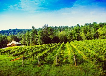 Guides - Yadkin Valley, NC