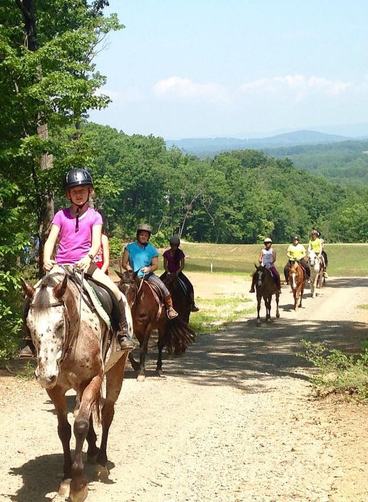 Cardinal Stables and Riding Academy - Yadkin Valley, NC