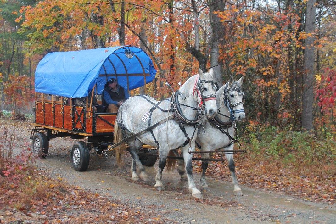 Cinder Ridge Farm Harvest Festival - Yadkin Valley, NC